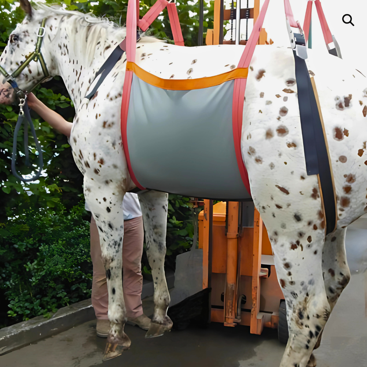 Lifting harness for horse max 1000 kg