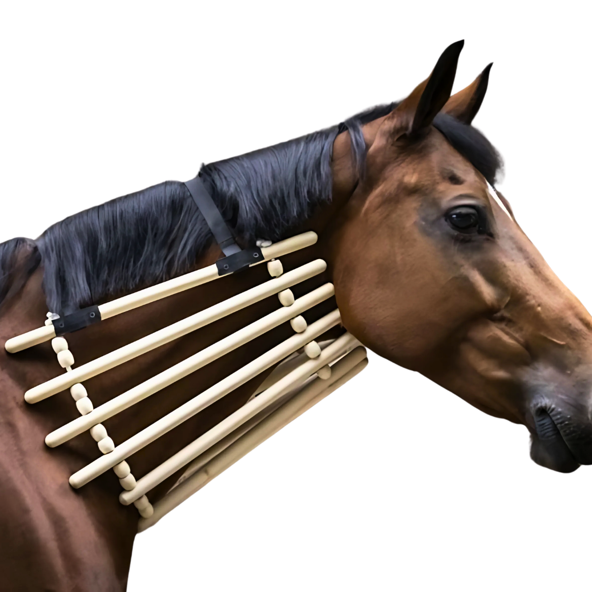 Eglisse - horse neck brace